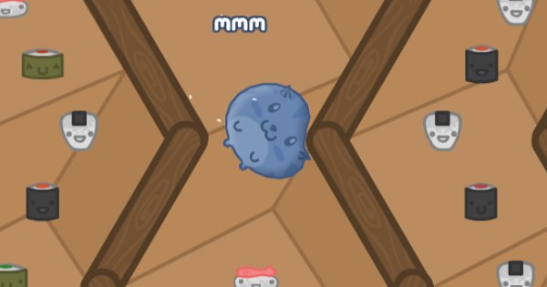 Sushi Cat - Play Online for Free